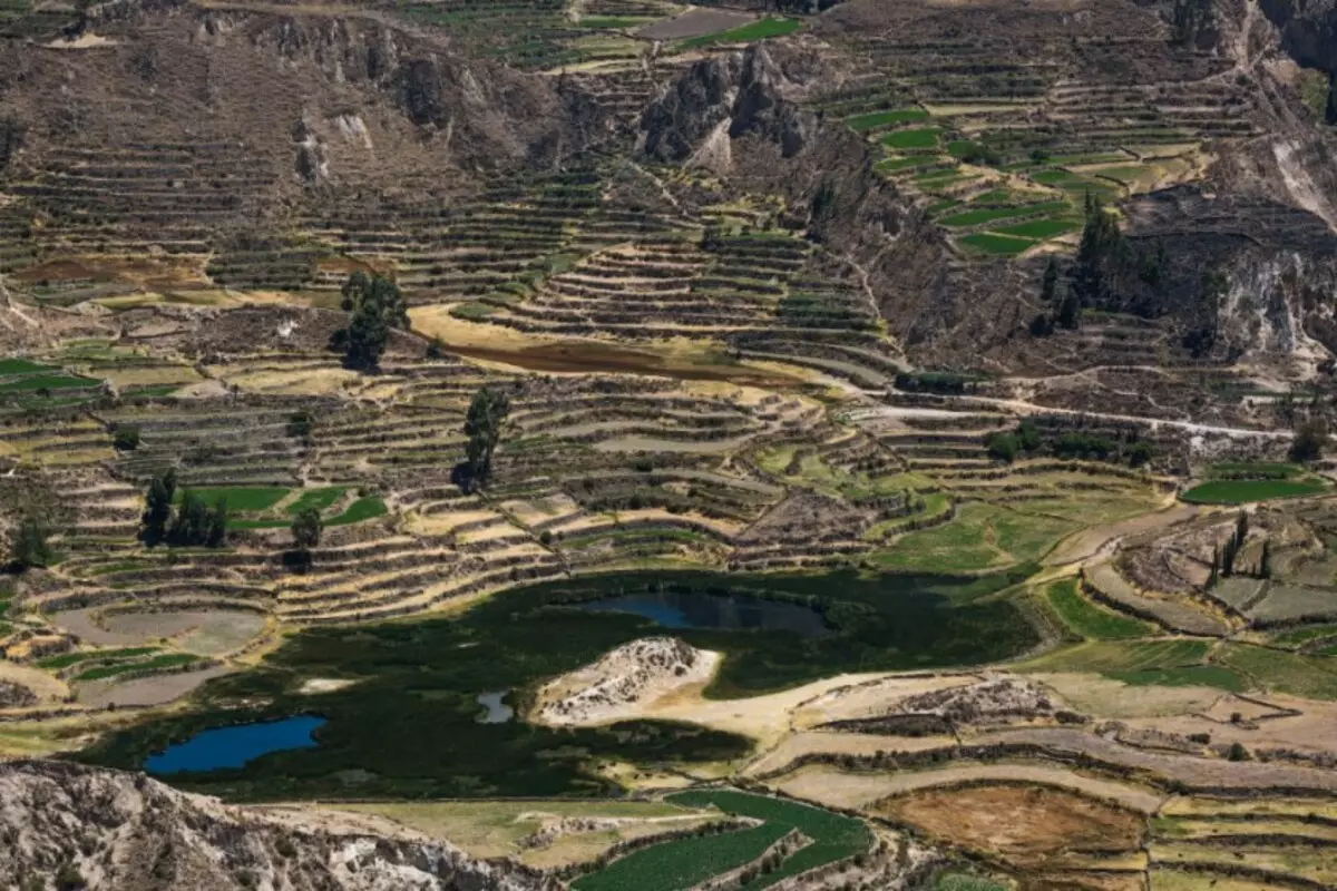 Zodabwitsa za mzinda wakale ndi nyanja yotchuka Titicaca 10980_2