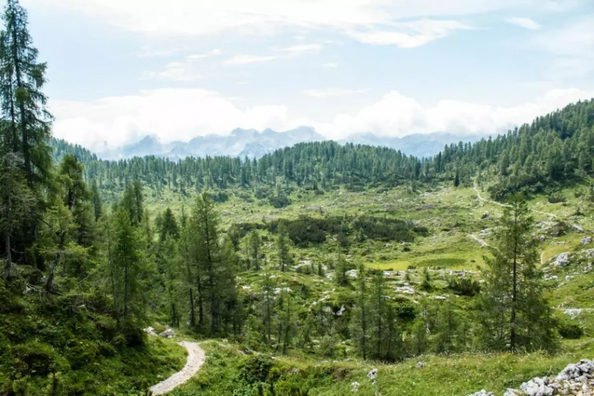 Dräi Wochen an den europäeschen Alpen 10993_15