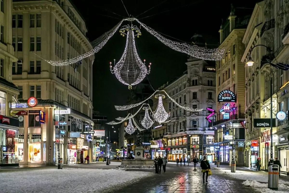 Wien: städer-semester 11054_7