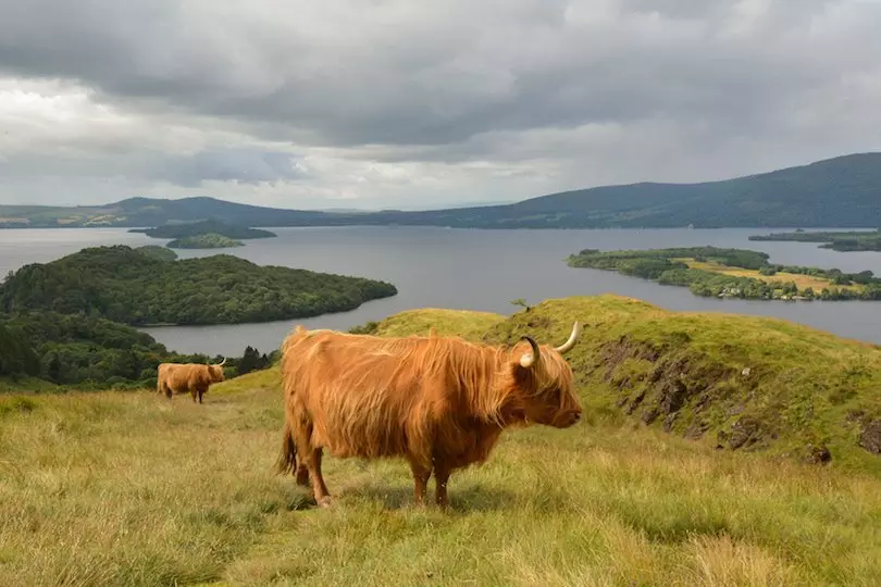 Nzvimbo dzakanaka kwazvo dzeScotland, umo zvakafanira kushanya 11056_5