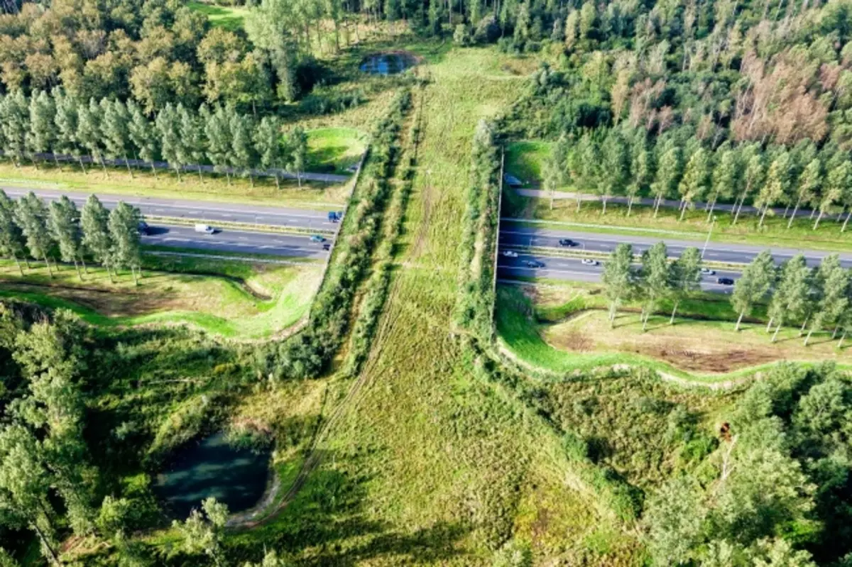 Het land waarin de toekomst al is gekomen 11067_7