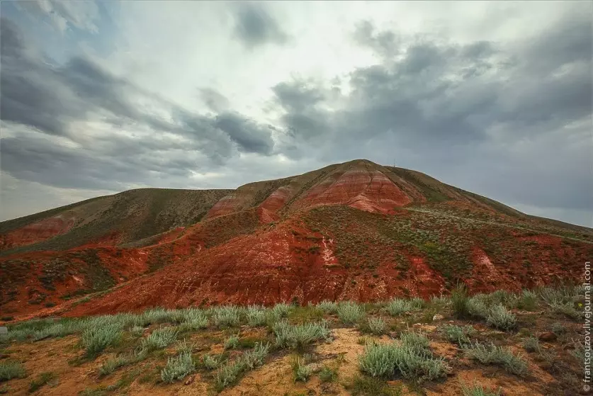 Marslandscapes in Kalmykia 11165_13