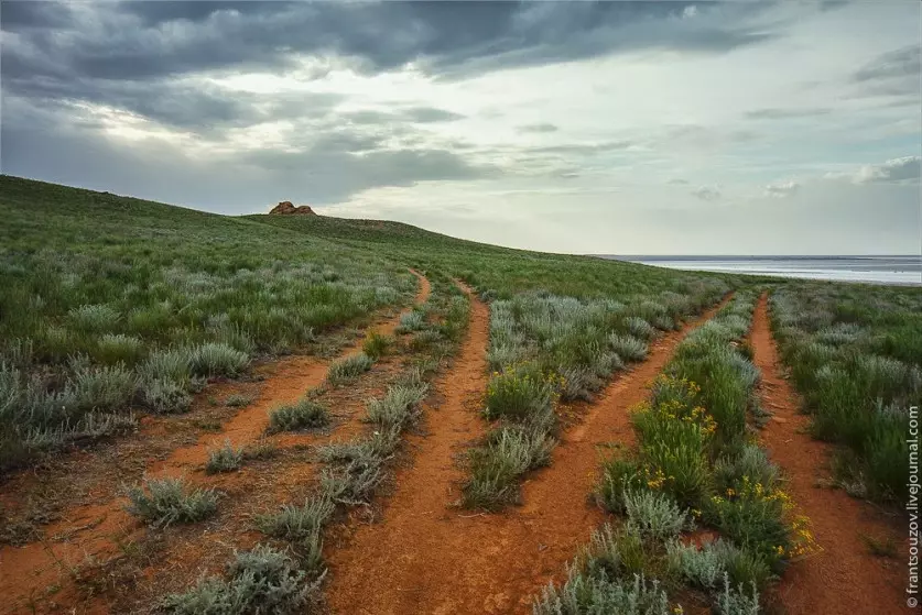 Marslandscapes in Kalmykia 11165_24