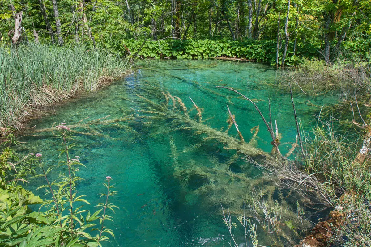 Croatia, awọn adagun oromi