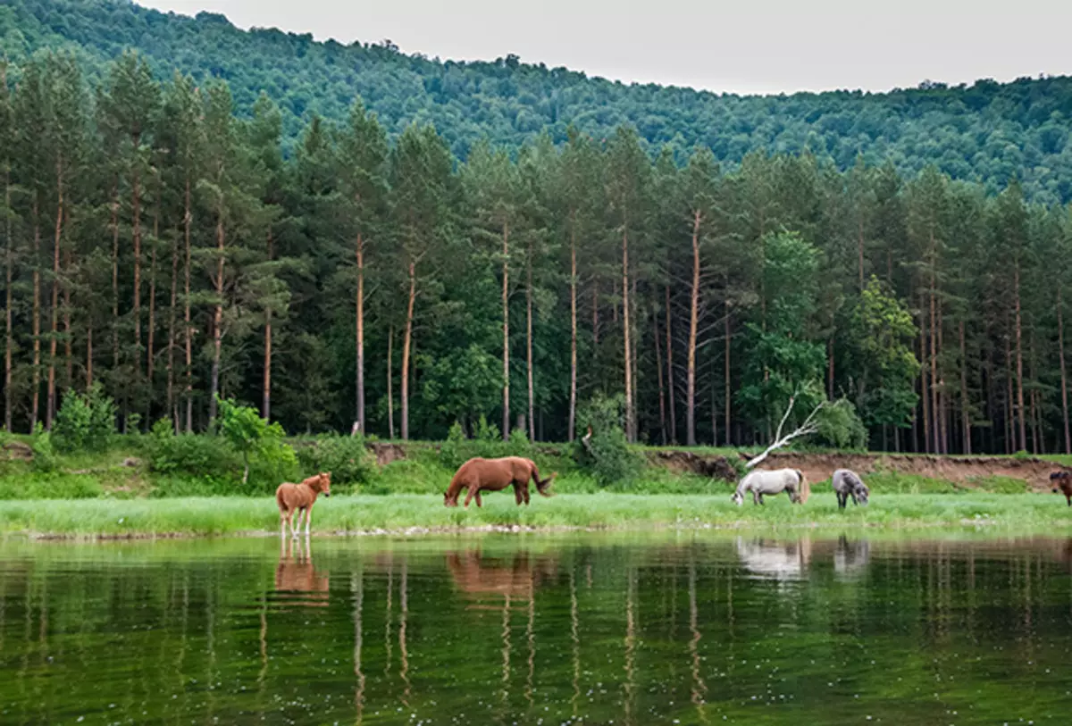 10 thousand km for 100 days: bikes across Russia 11258_3