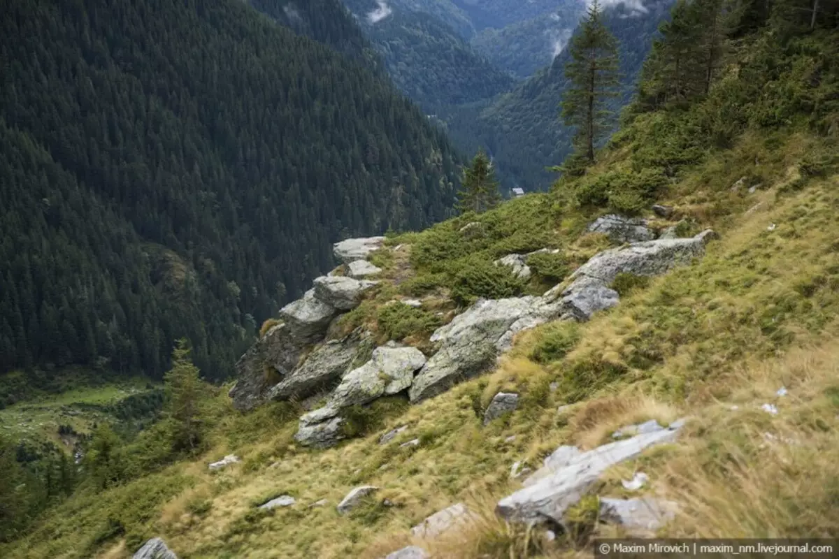 Ferðast yfir Mountain Road Transfagaras 11377_21