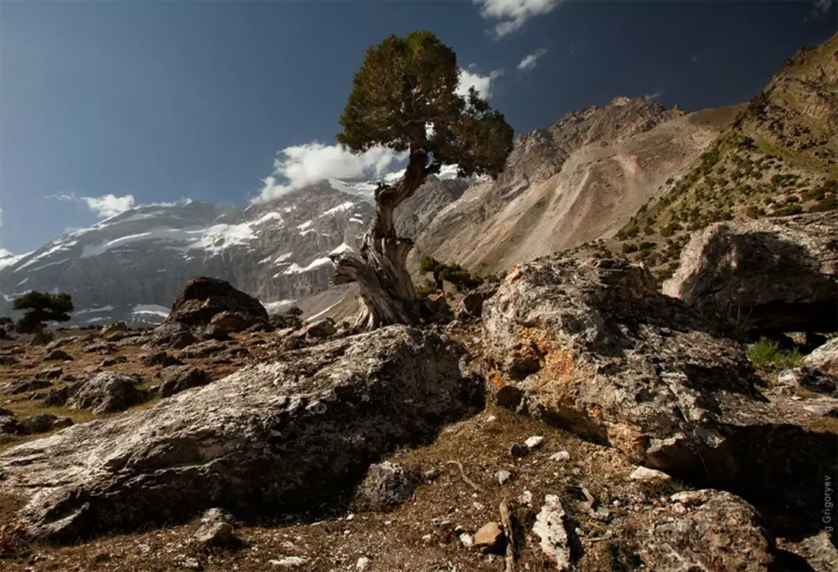 Tajikistan. Fitsangatsanganana amin'ny Tendrombohitra Ankizy 11378_53