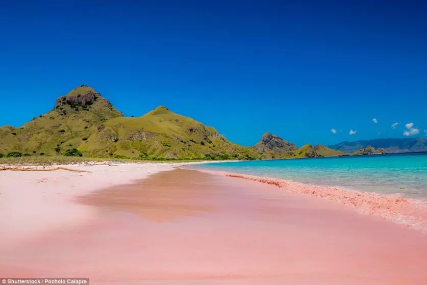 Eksotik: Pantai pasir merah jambu 11389_1