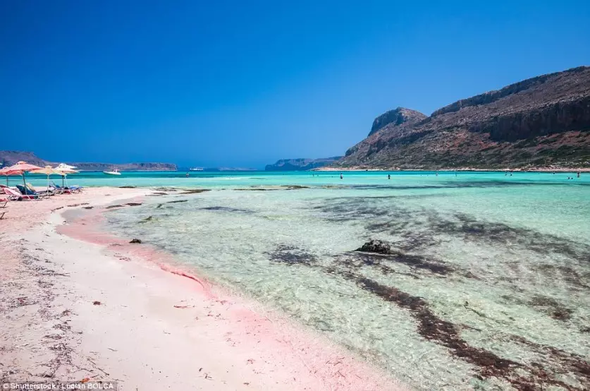 Eksotična: Pink peščene plaže 11389_4