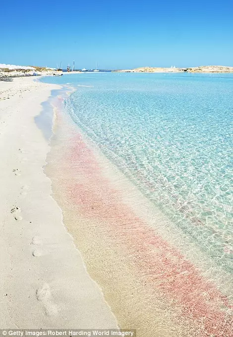 Eksotična: Pink peščene plaže 11389_5