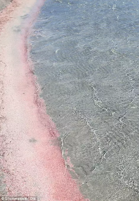 Eksotična: Pink peščene plaže 11389_6