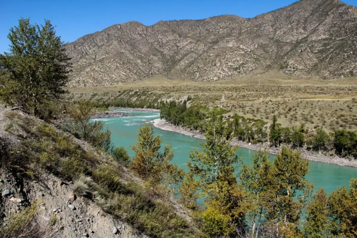 Kamangha-manghang mga landscape ng Altai. 11413_7