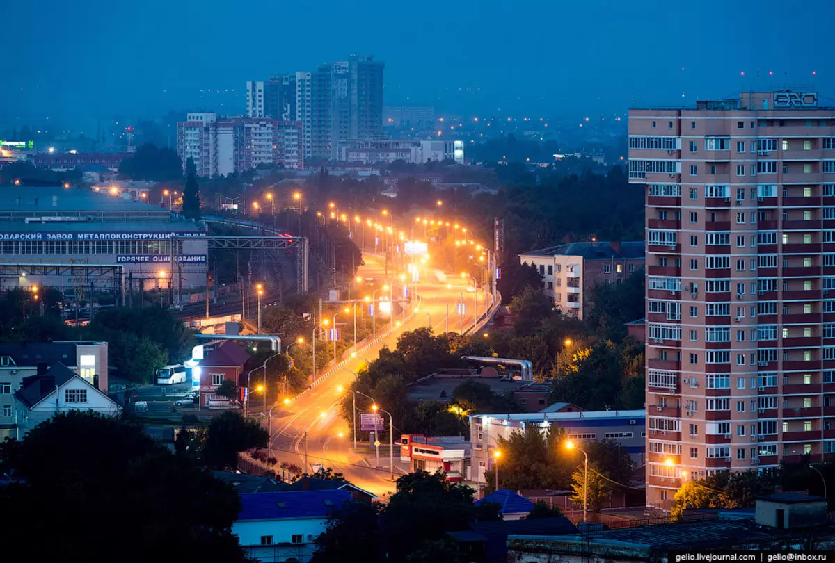 Street Survov.