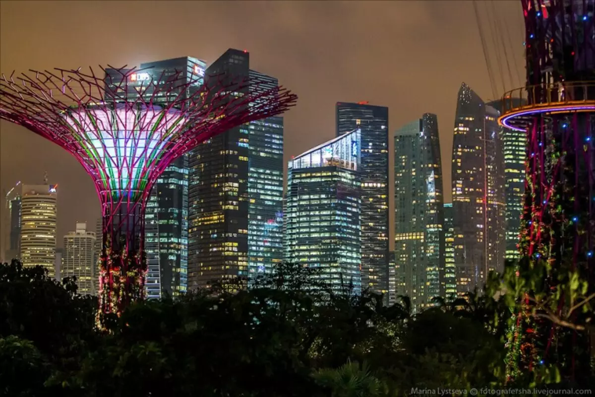 Spectacular light show sa Singapore. 11433_18