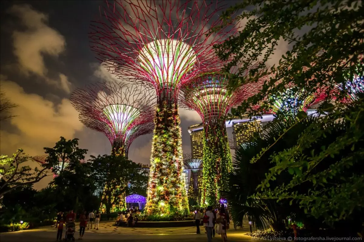 Spectacular light show sa Singapore. 11433_28