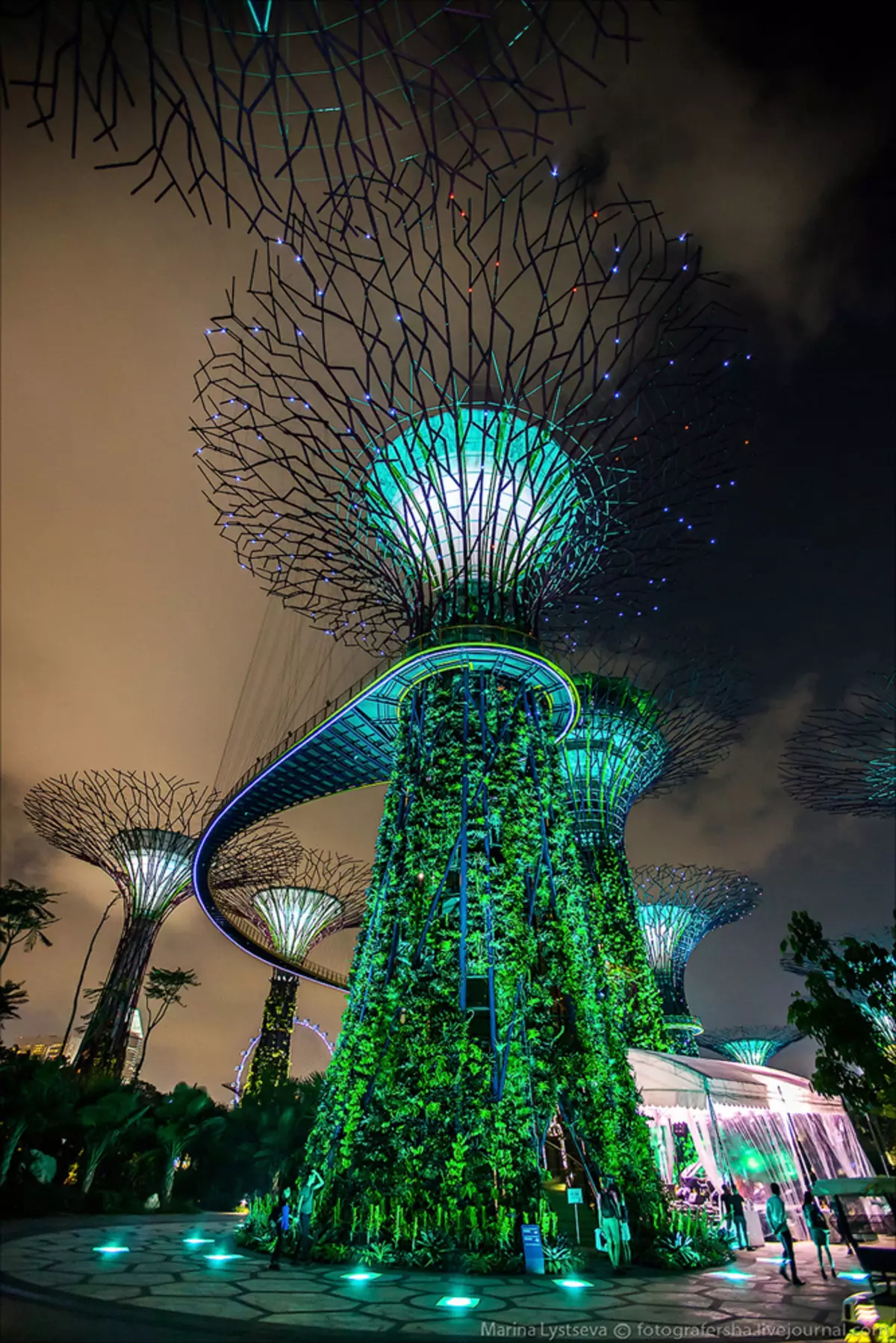 Spectacular light show sa Singapore. 11433_29