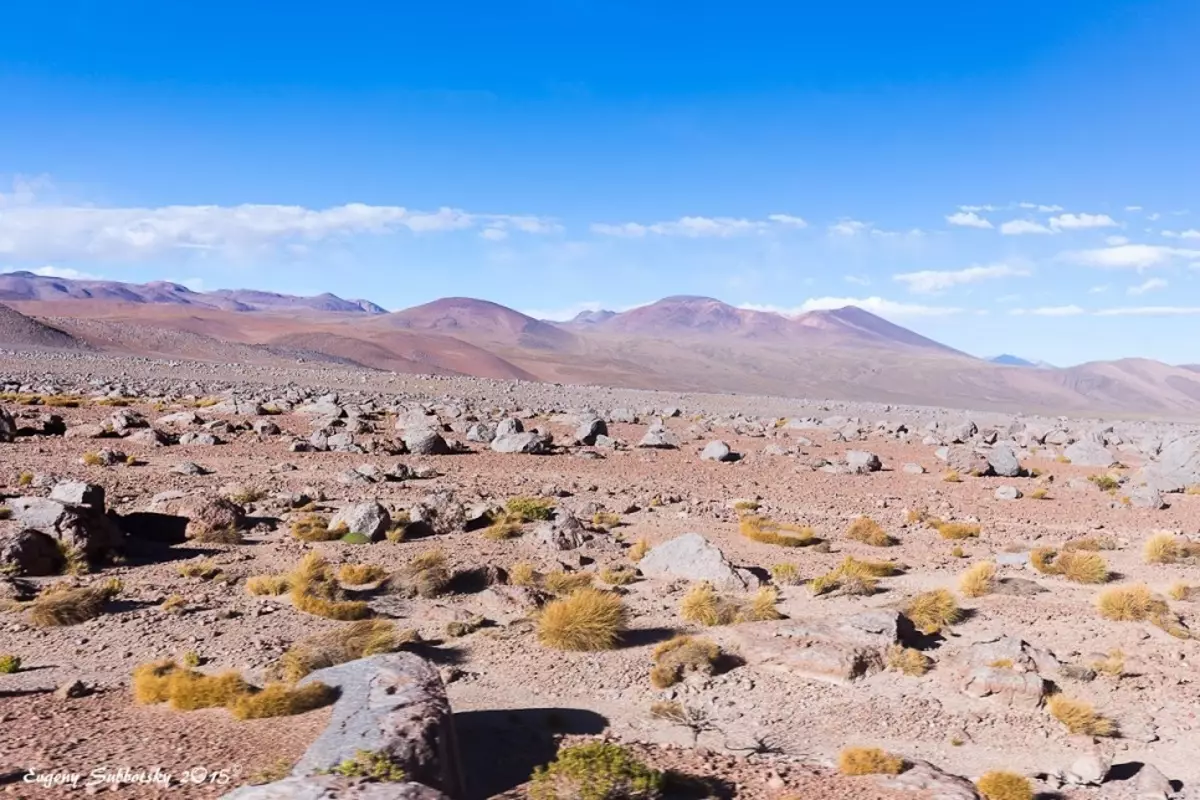 U planinama Bolivije i Perua 11440_11