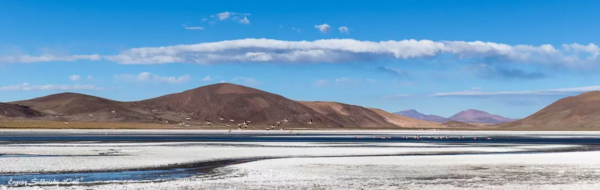 U planinama Bolivije i Perua 11440_12