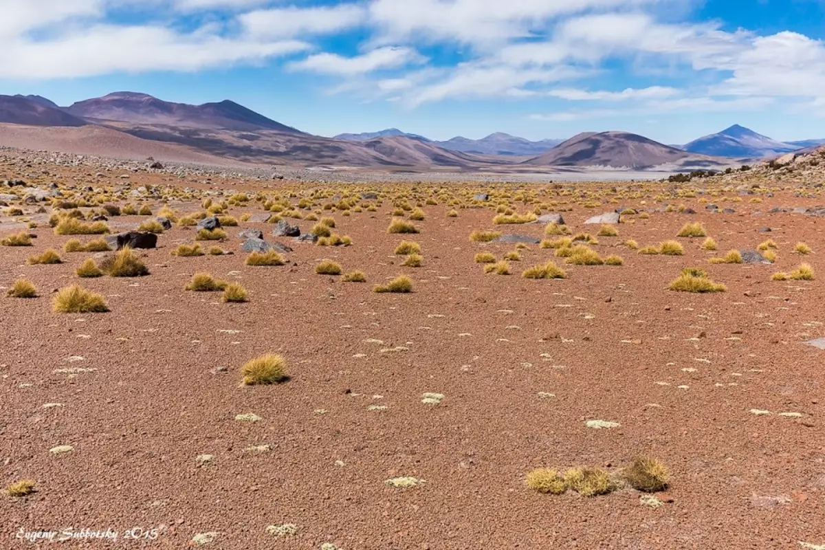 U planinama Bolivije i Perua 11440_2