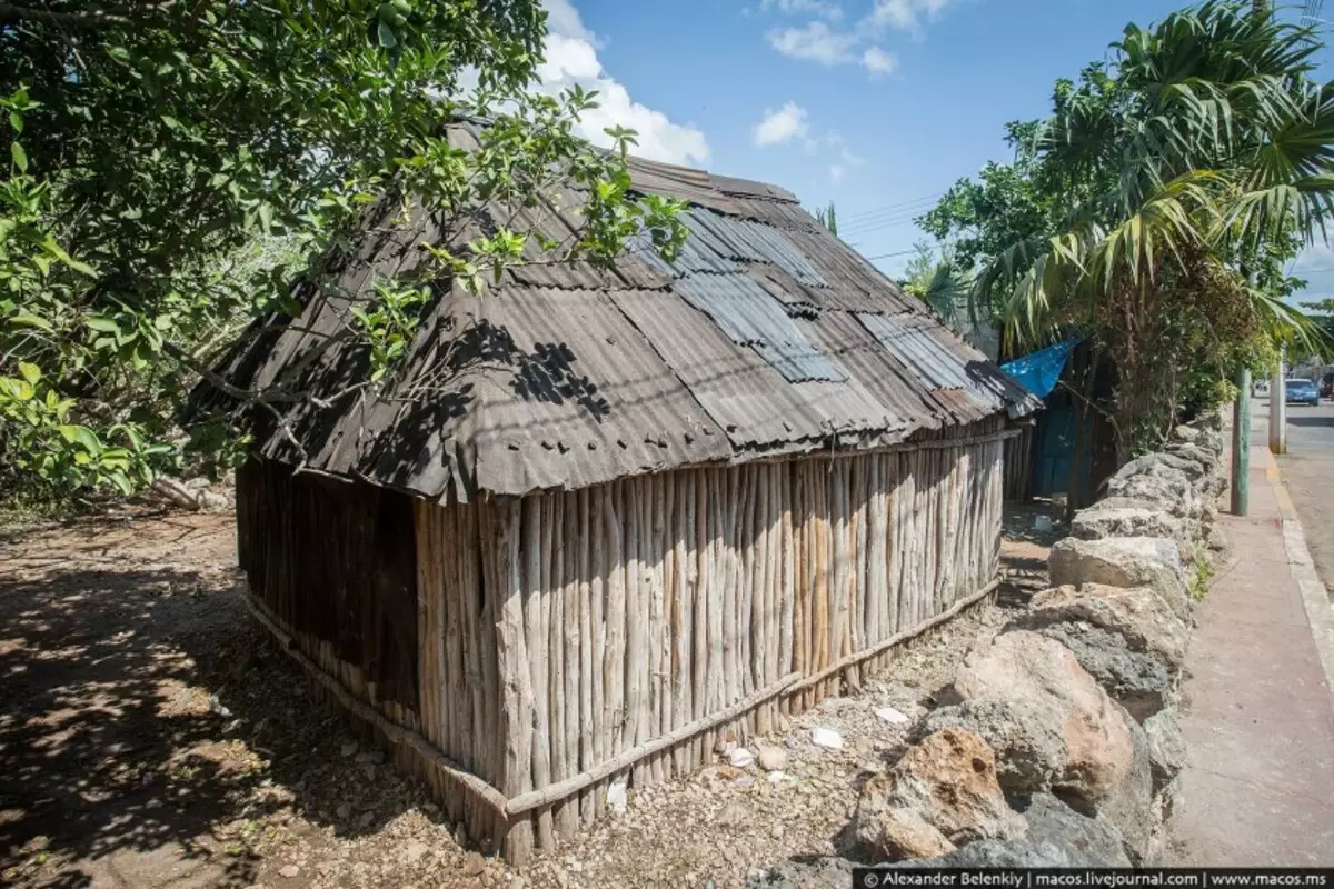 Terapija bil-kulur Messikani 11457_18