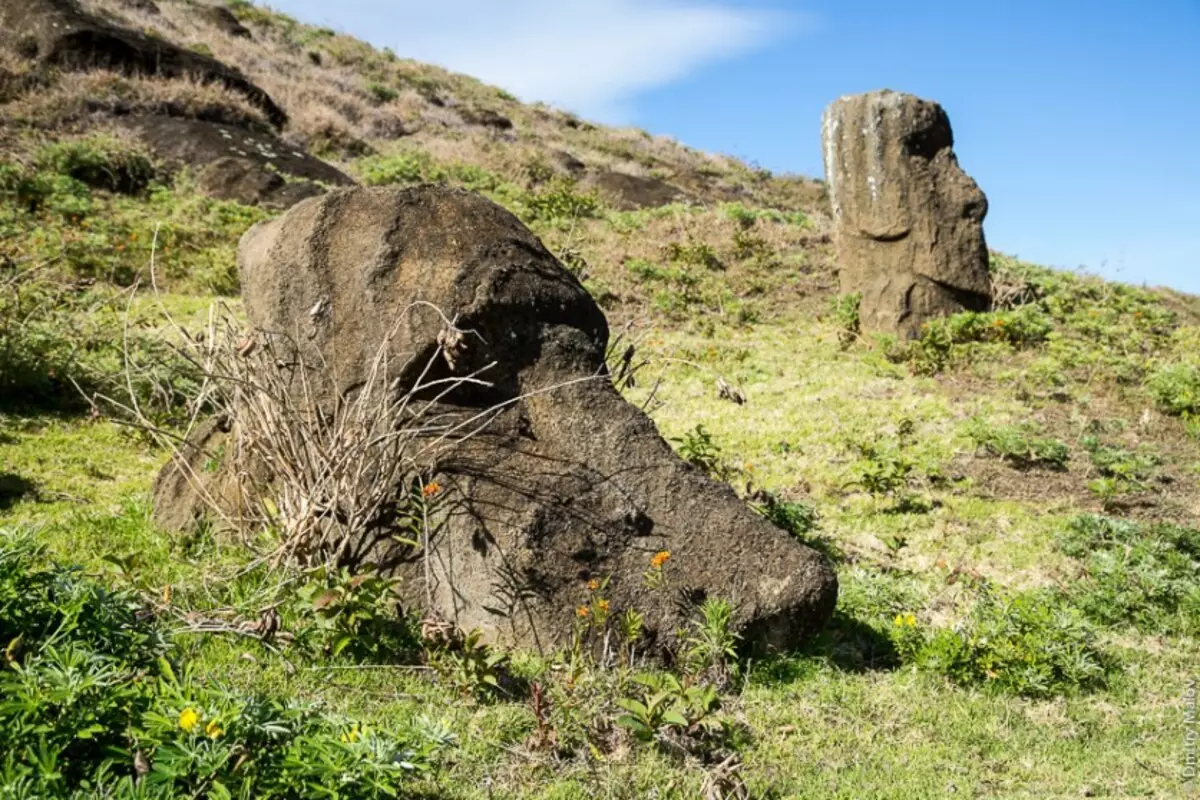 Txog Easter Island 11467_8