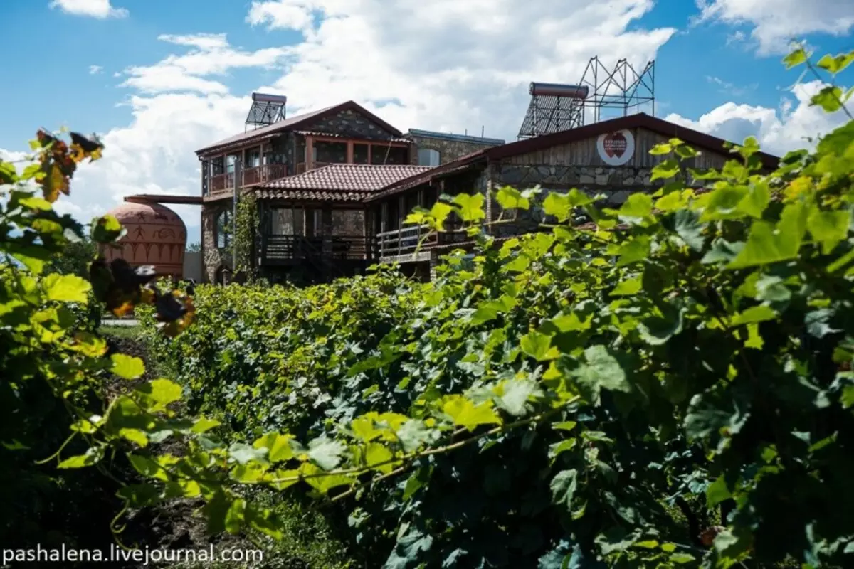 Gruzijos vyno dalis - Kakheti 11473_14