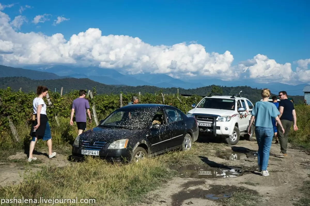 La mayor parte de vino de Georgia - Kakheti 11473_34