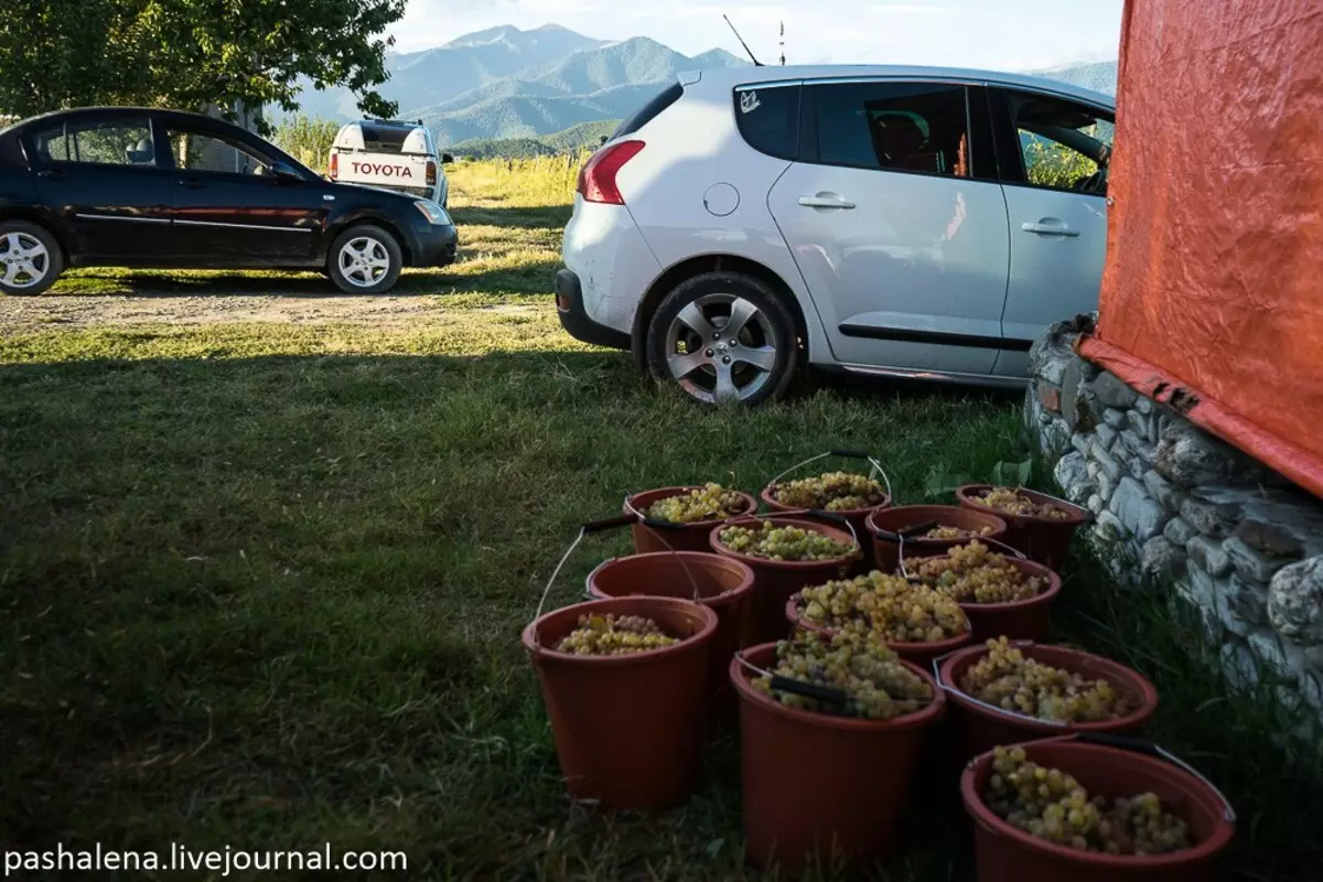 La mayor parte de vino de Georgia - Kakheti 11473_41