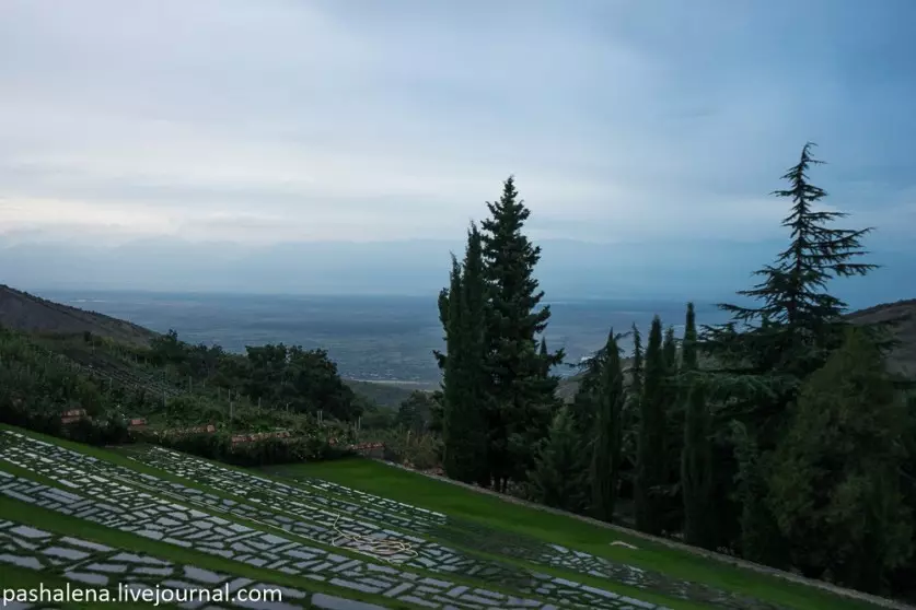 جارجيا جو سڀ کان وڌيڪ شراب وارو حصو - ڪچيٽي 11473_5