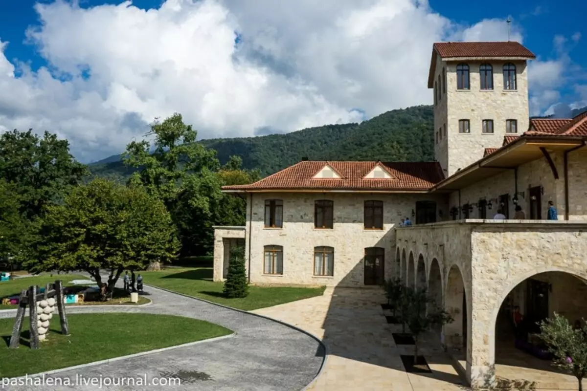 La mayor parte de vino de Georgia - Kakheti 11473_9