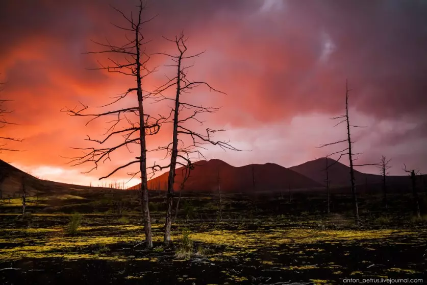 Kamchatka جو تصوراتي منظر 11580_17