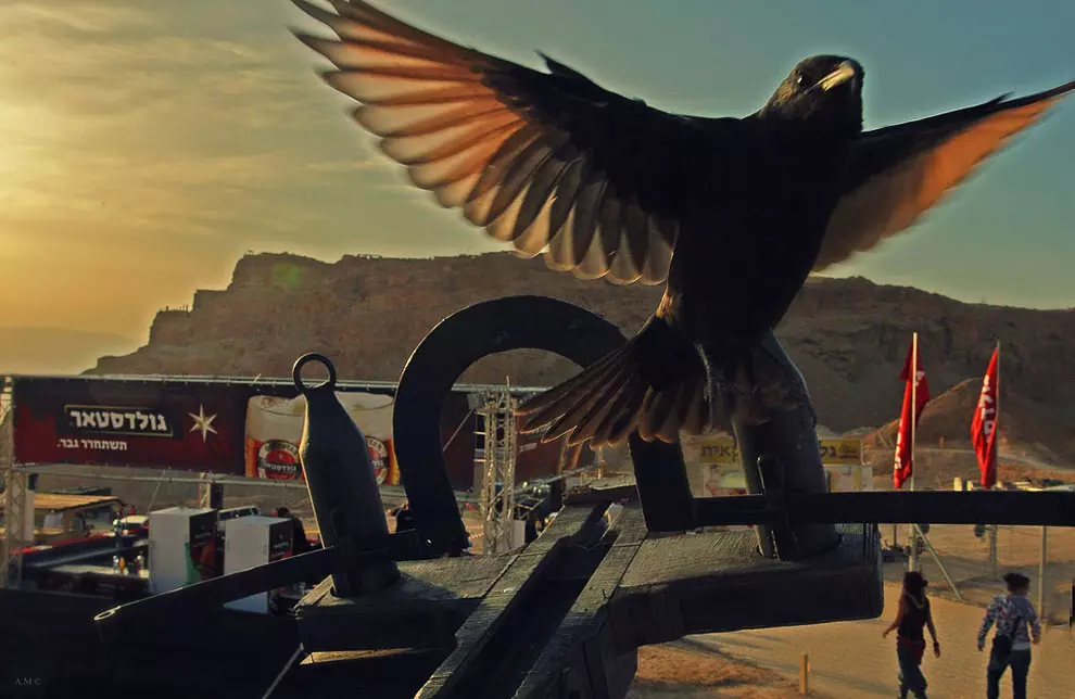 Masada cable car (Israel)