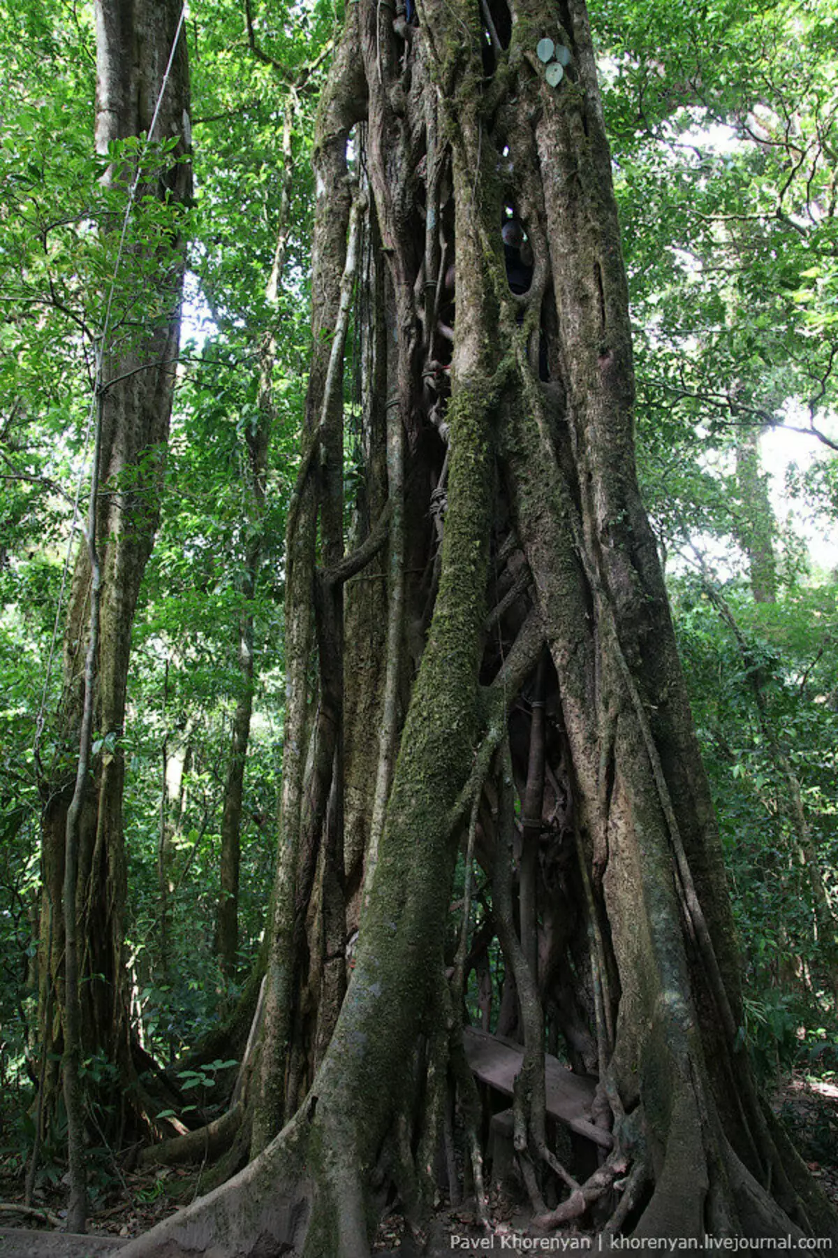 Hutan, Kopi dan Happy Warga: Perjalanan di Kosta Rika 11599_18