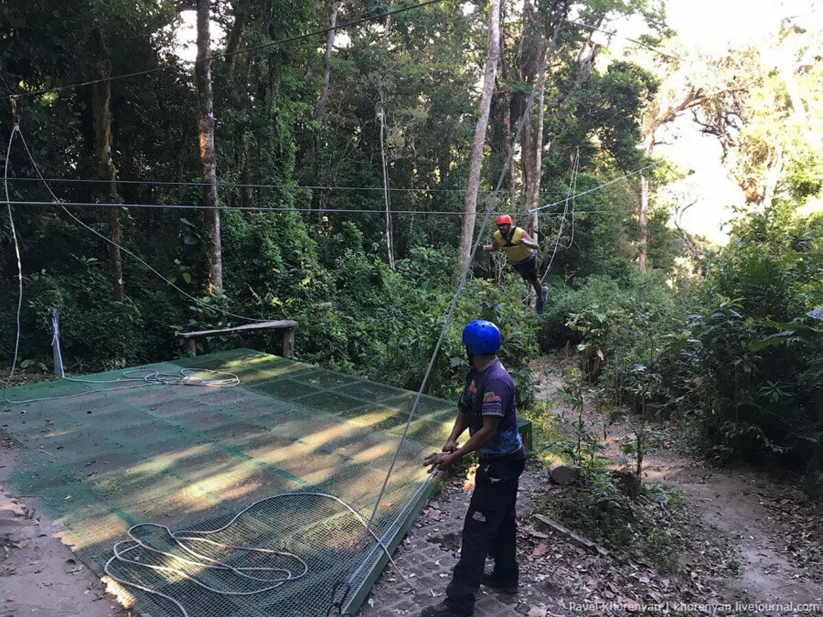 Păduri, cafea și rezidenți fericiți: Călătorie pe Costa Rica 11599_21