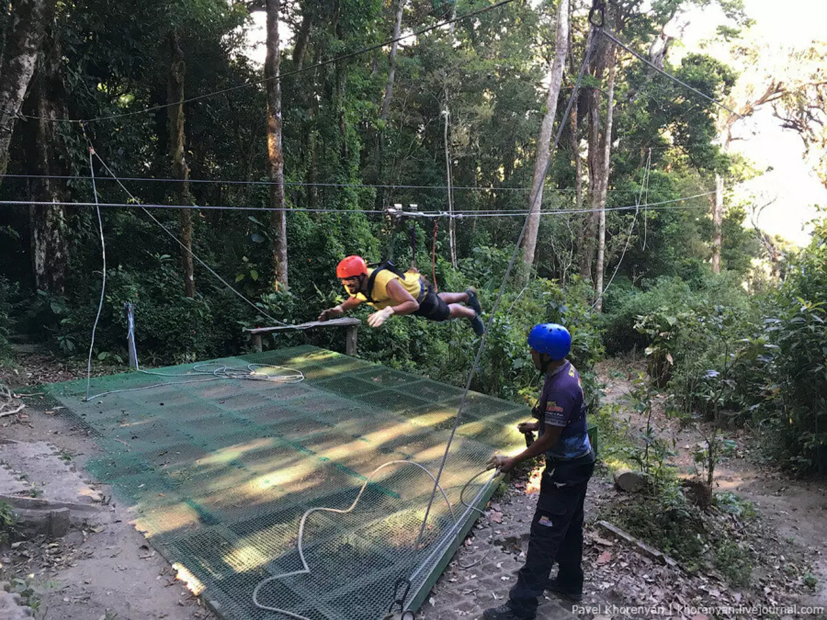 Păduri, cafea și rezidenți fericiți: Călătorie pe Costa Rica 11599_22