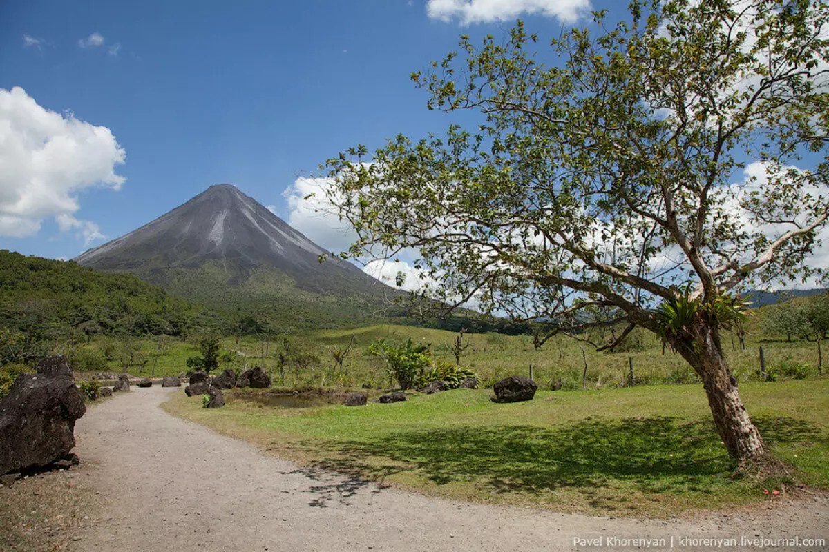 Păduri, cafea și rezidenți fericiți: Călătorie pe Costa Rica 11599_26