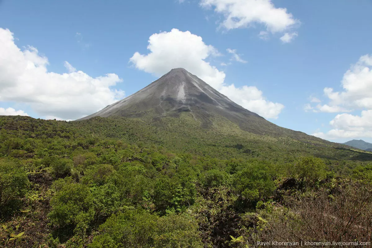 Păduri, cafea și rezidenți fericiți: Călătorie pe Costa Rica 11599_27