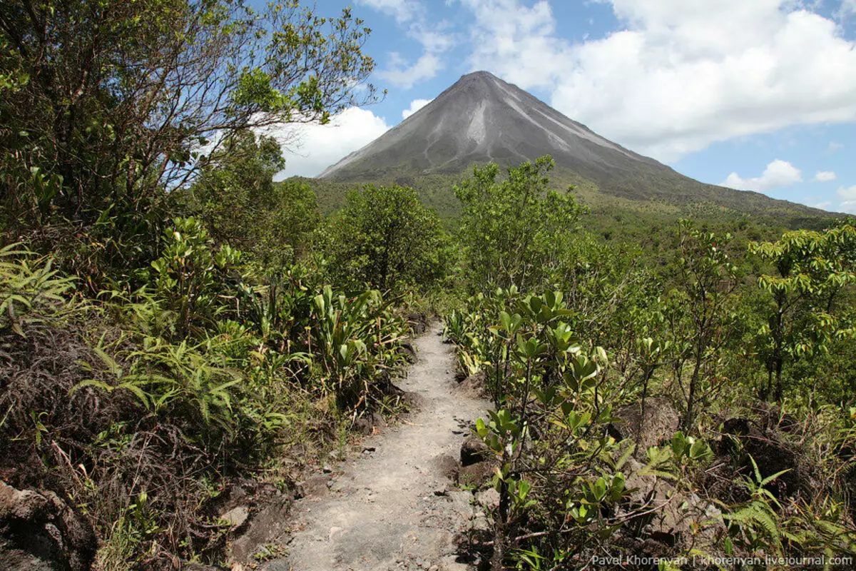 Păduri, cafea și rezidenți fericiți: Călătorie pe Costa Rica 11599_28