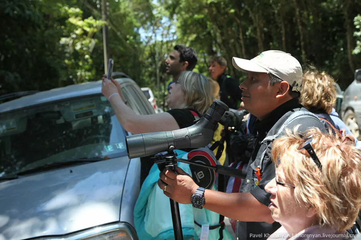 Florestas, café e residentes felizes: viagem na Costa Rica 11599_3