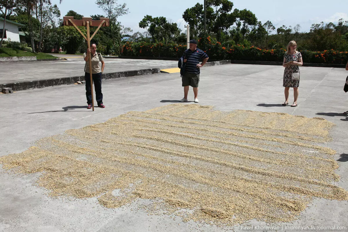 Hutan, Kopi dan Happy Warga: Perjalanan di Kosta Rika 11599_43