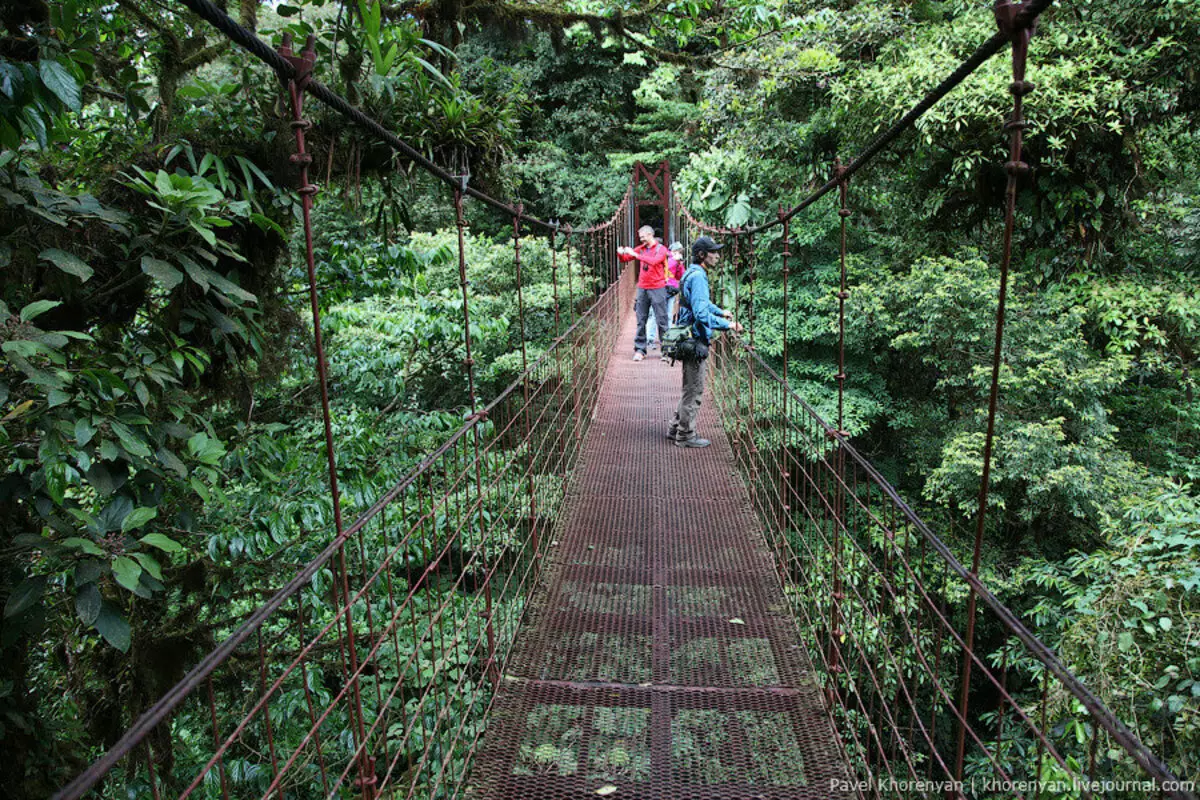 Florestas, café e residentes felizes: viagem na Costa Rica 11599_9