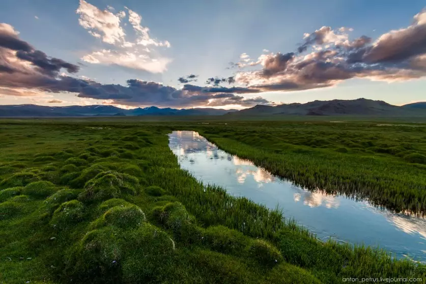 Emerald Mongolia. 11614_11