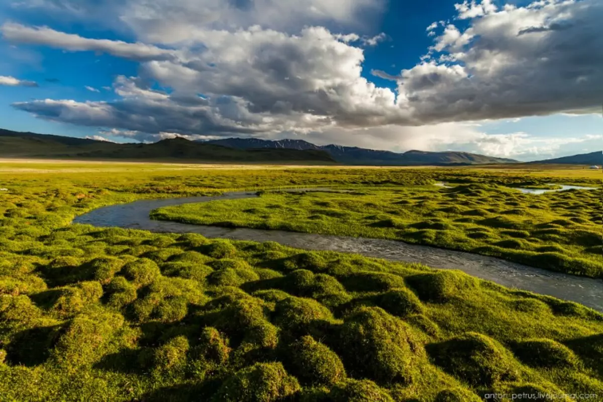 Emerald Mongolia. 11614_7