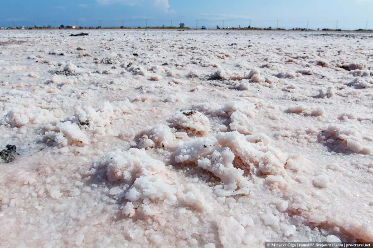 Salt Lake i Taman