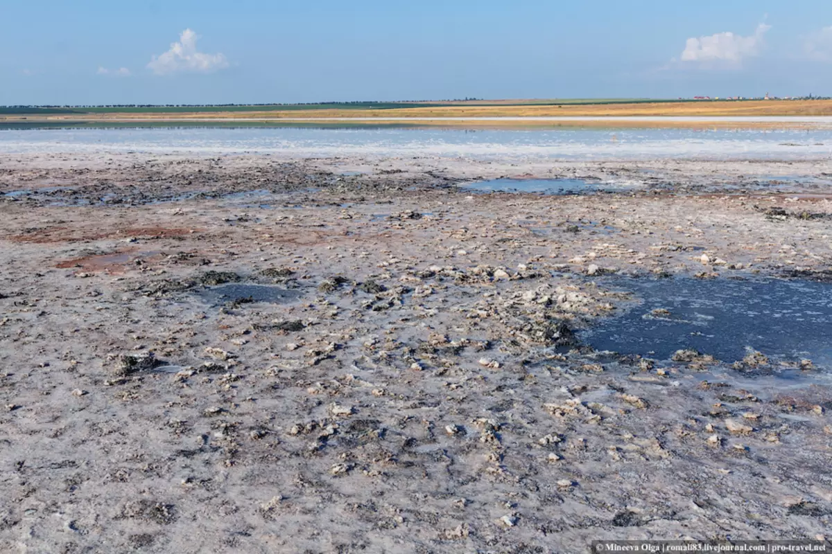 Salt Lake in Taman