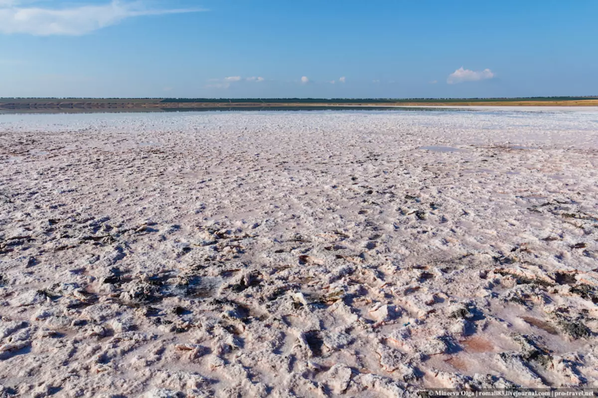 Salt Lake στο Taman