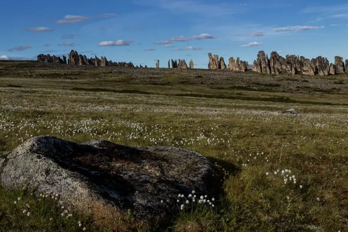 کمی در مورد Yakutia دور 11696_10