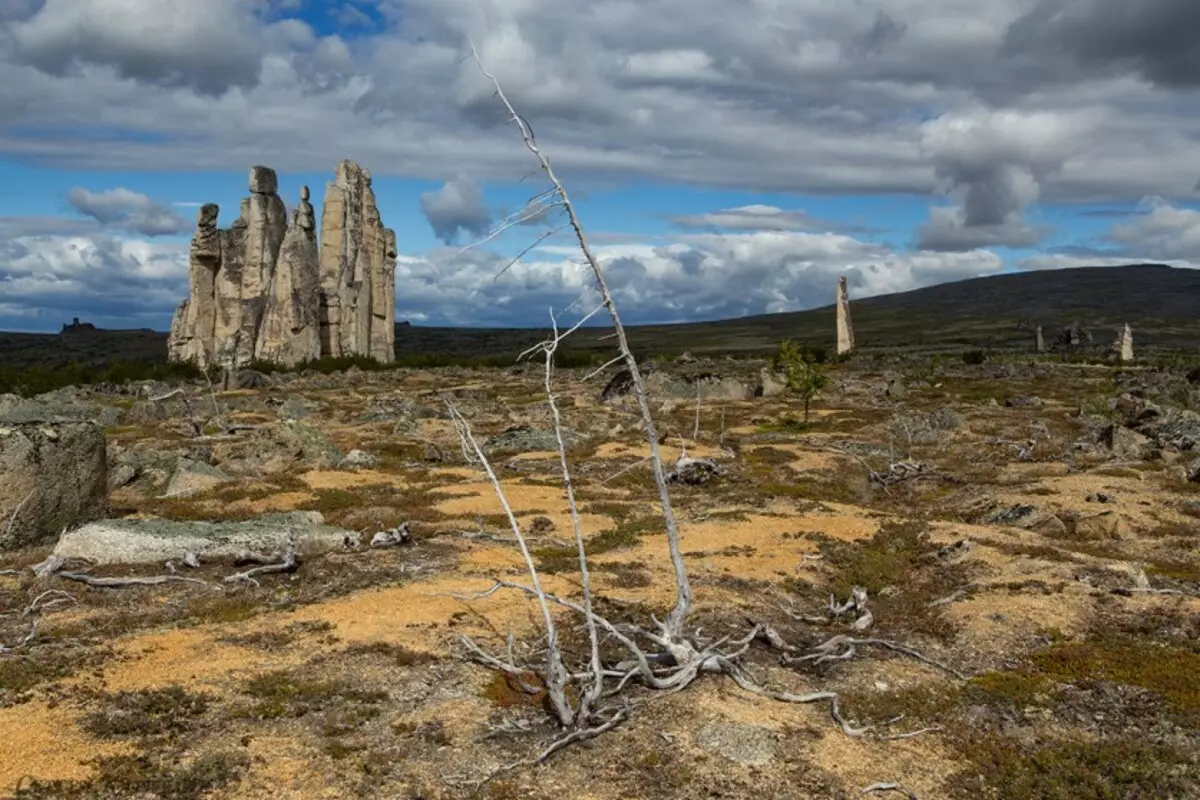 Una mica sobre Yakutia llunyana 11696_18