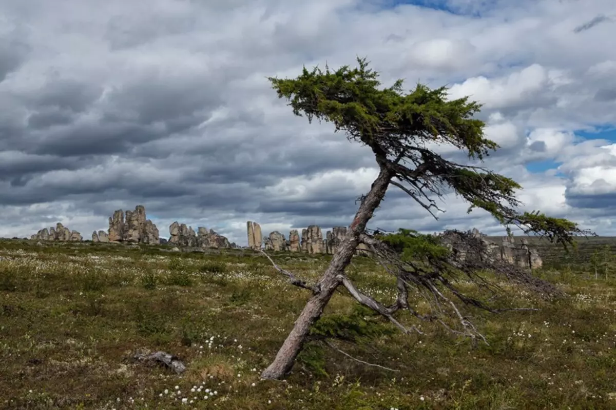 کمی در مورد Yakutia دور 11696_20