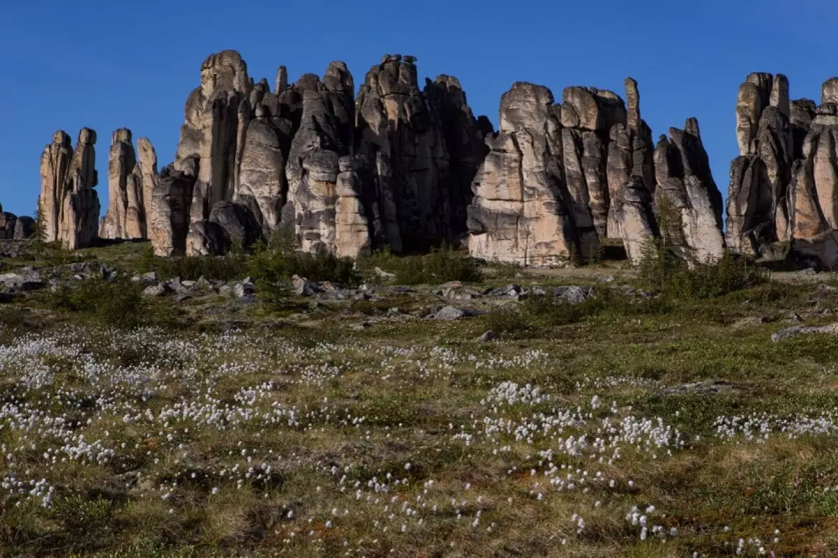 Malo o daleki yakutia 11696_9